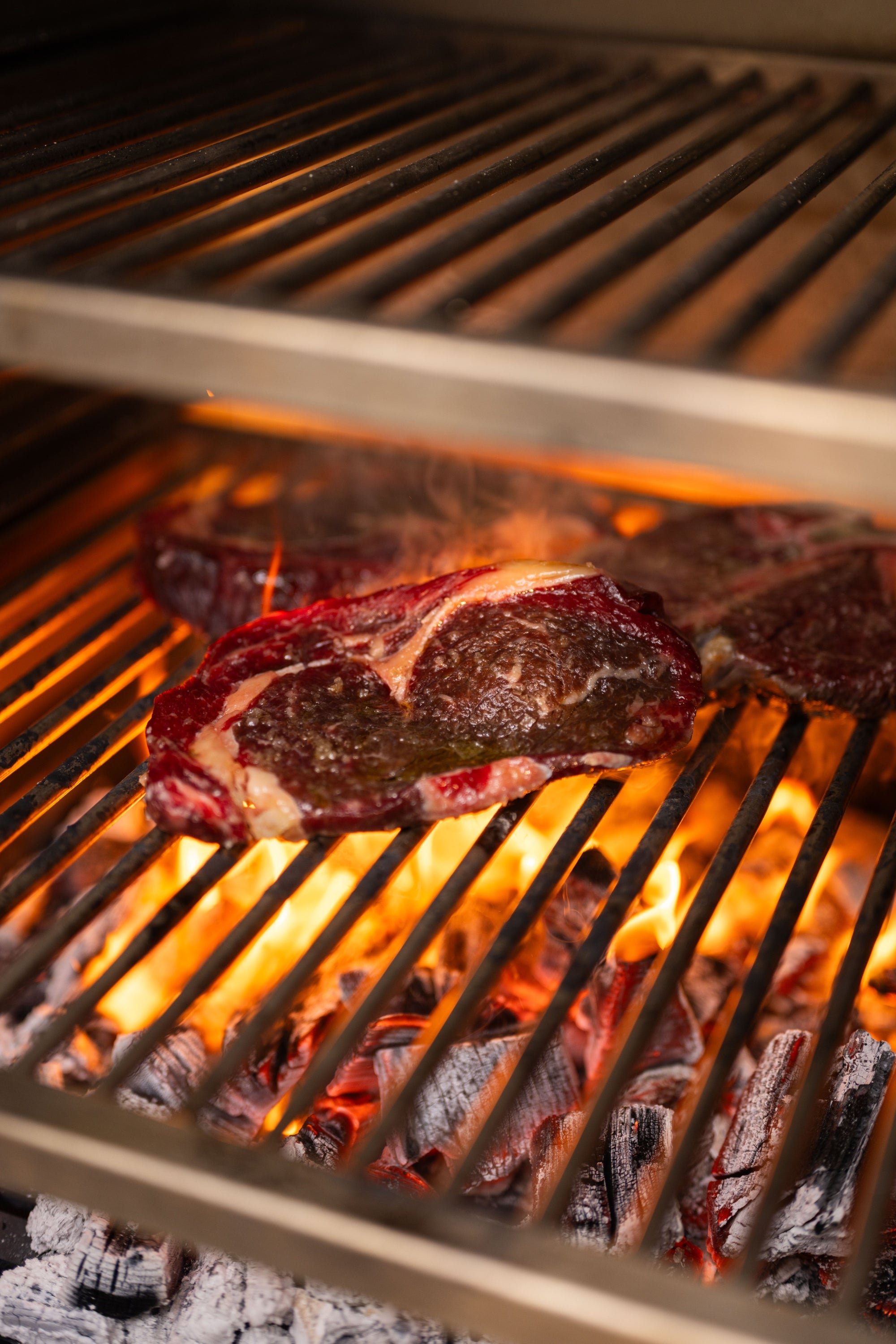 Charlie Oven | All-in-One Charcoal BBQ, Smoker & Pizza Oven